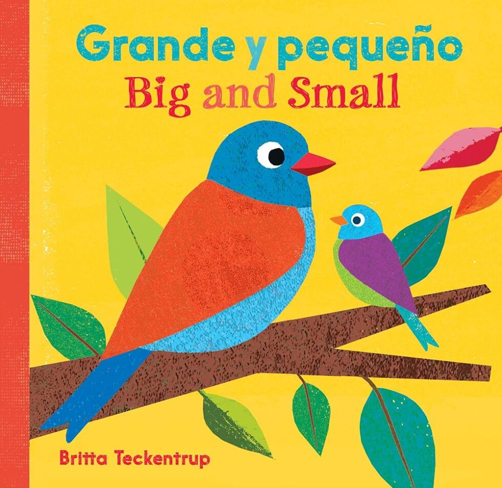 Book Review: Big and Small | Montessori Foundation | Montessori Family ...
