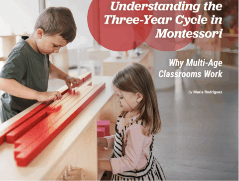 Understanding the three-year cycle in montessori | Montessori ...
